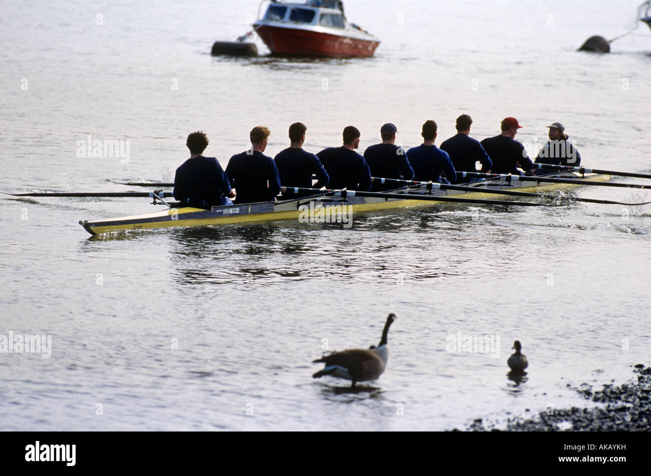 Cambridge university boat race crew hi-res stock photography and images ...