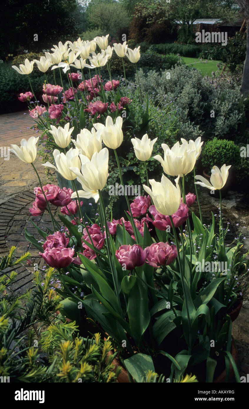 Borders and containers hi-res stock photography and images - Alamy