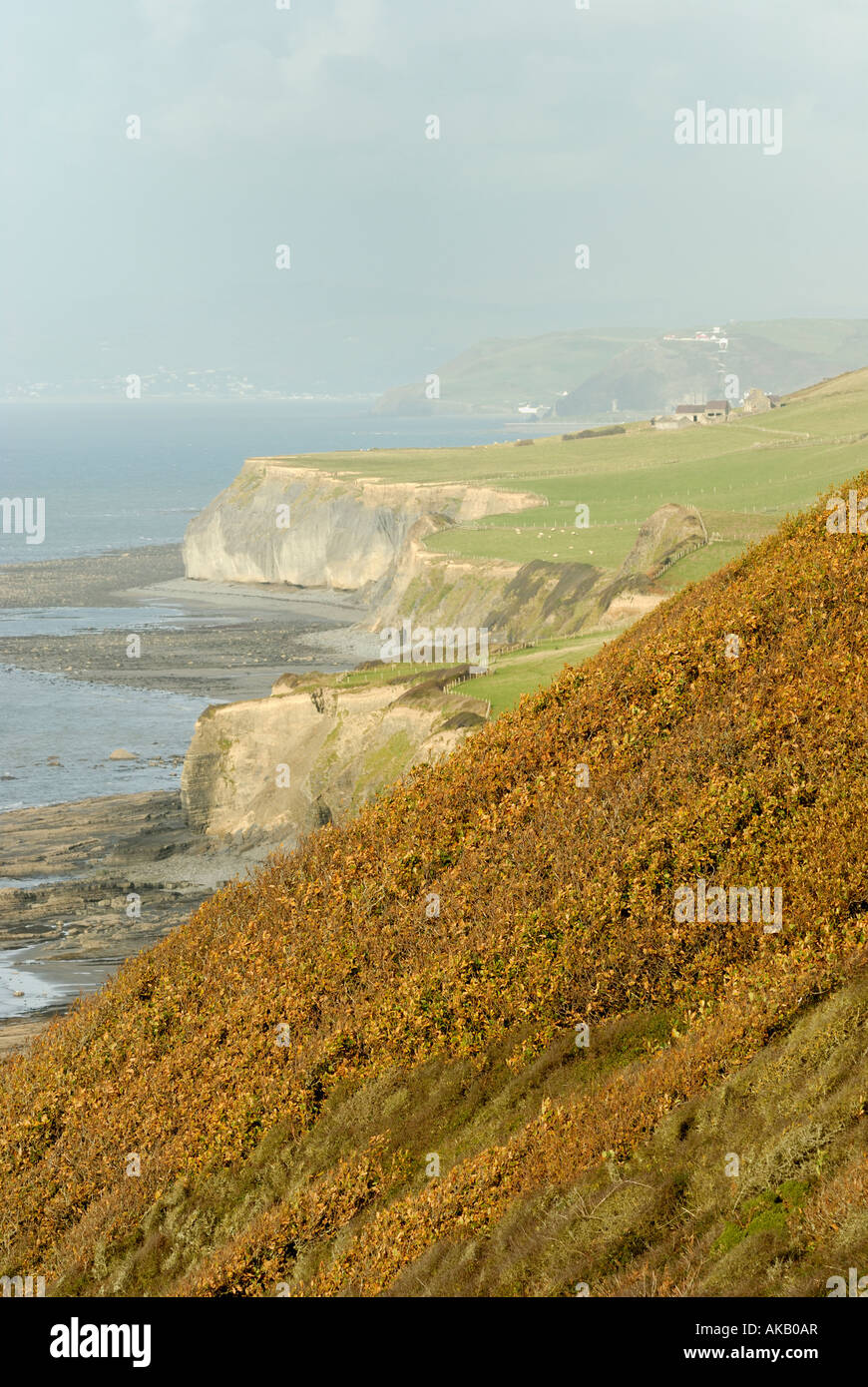 Hanging oakwood hi-res stock photography and images - Alamy