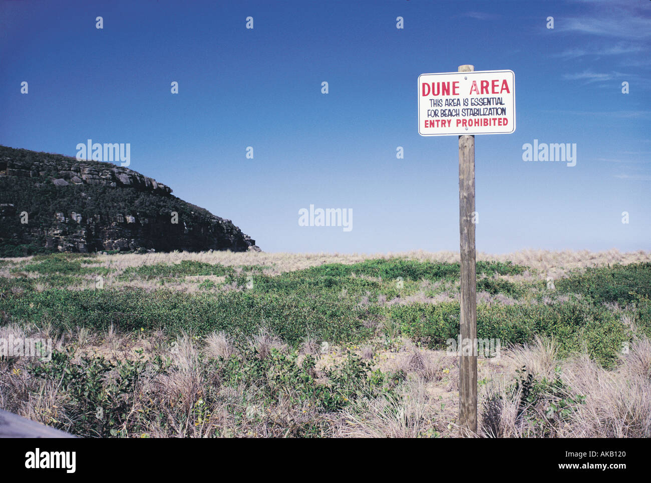 Sand Dune in Sydney Stock Photo - Alamy