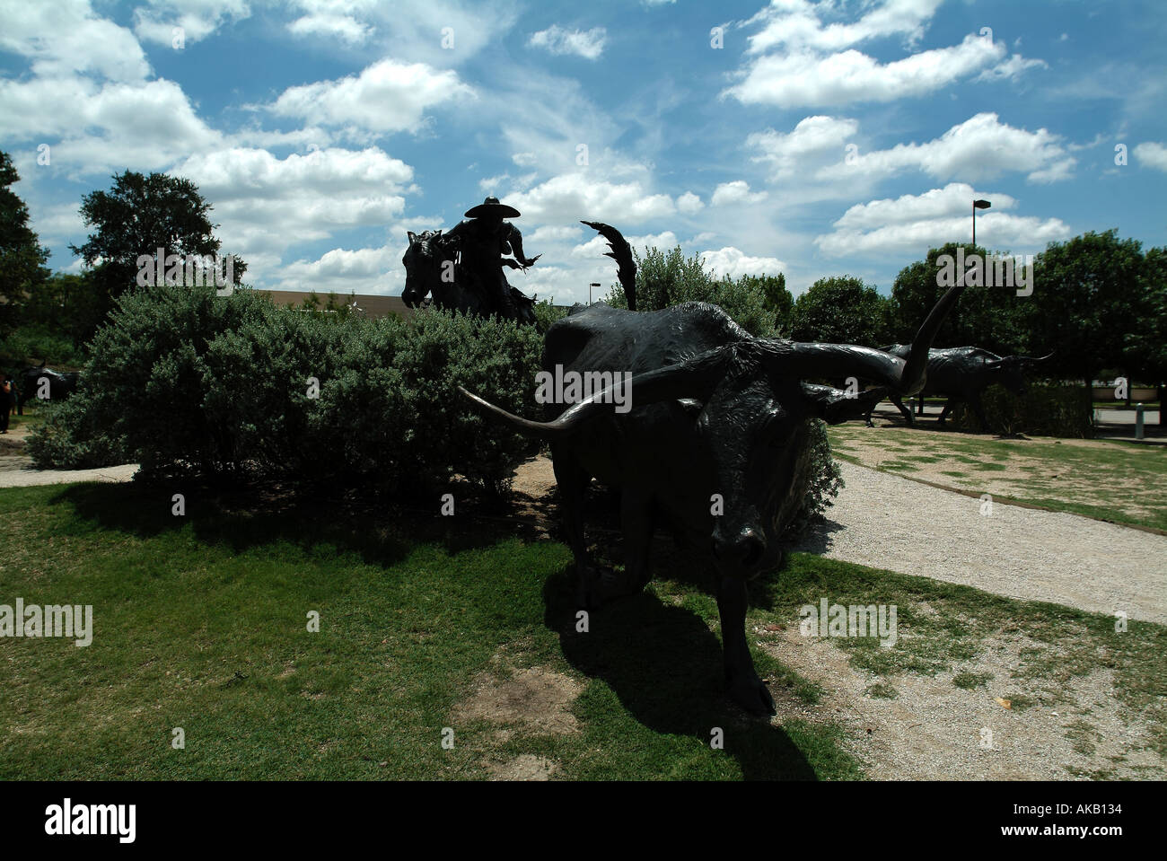 Herd of bull statues in downtown of Dallas Stock Photo - Alamy