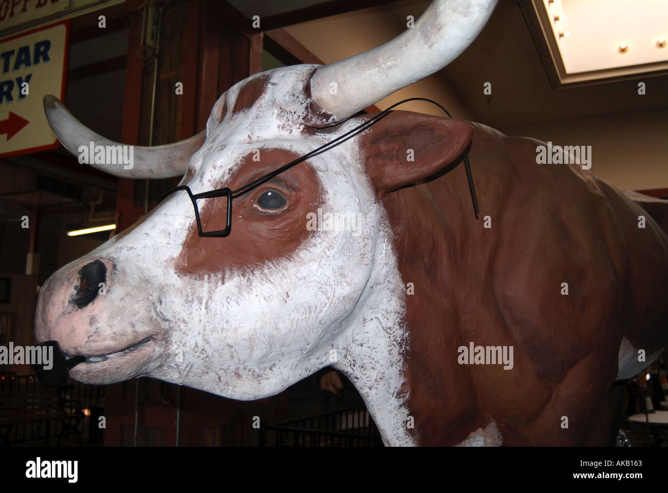 Statue of long horn in Fort Worth, Texas Stock Photo - Alamy