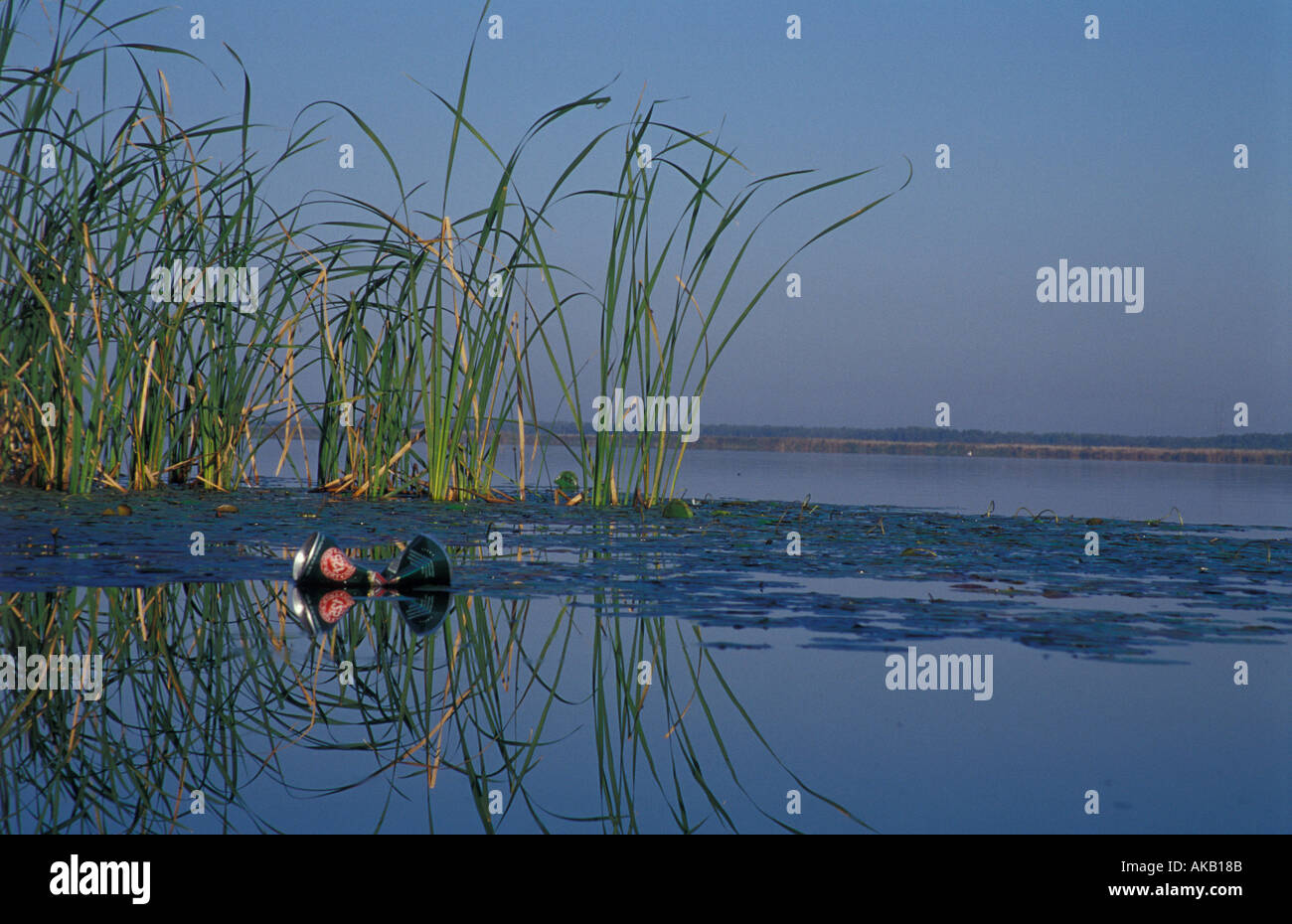 Delta Dunari 1 Stock Photo - Alamy