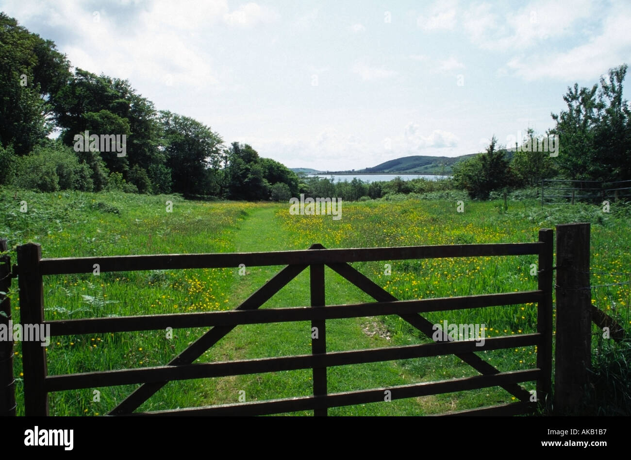 path across wild meadow taynish nature reserve tayvallich argyll ...