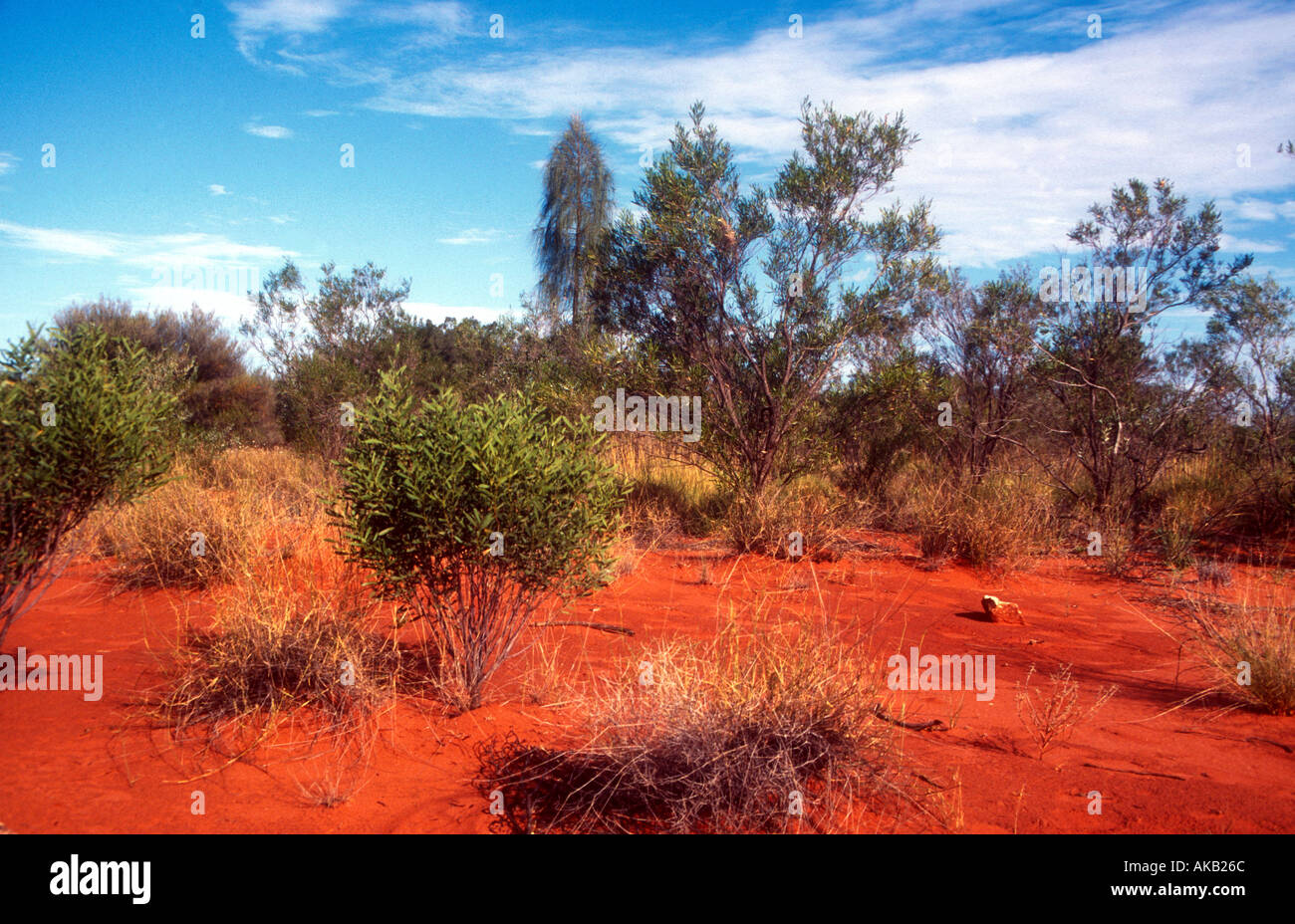 The Red Centre of Australia Stock Photo - Alamy