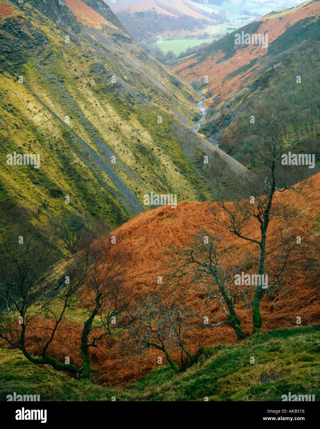 Dylife gorge hi-res stock photography and images - Alamy