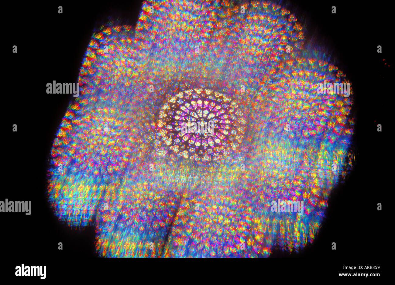 Rose window design hi-res stock photography and images - Alamy