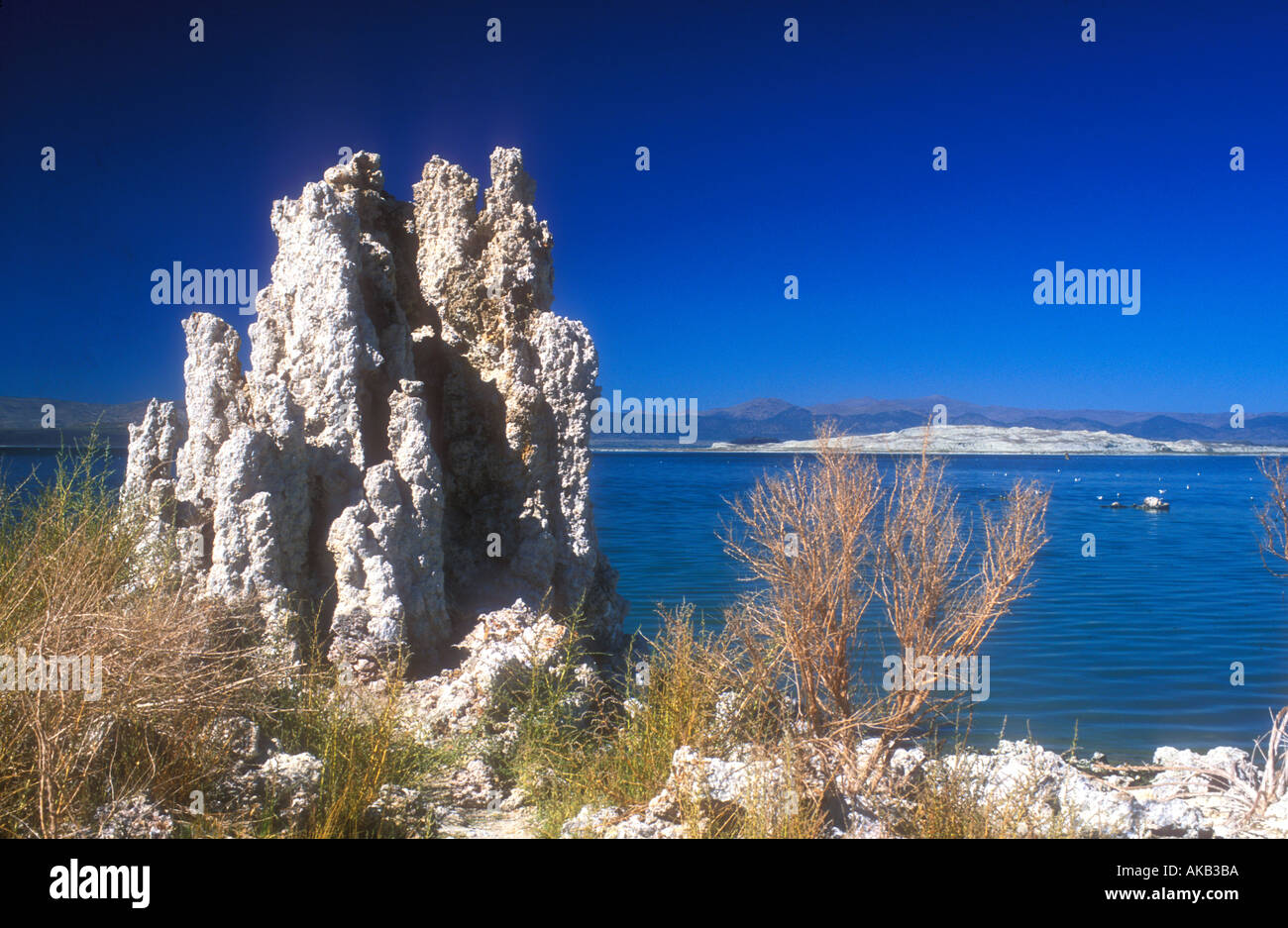 Mono Lake Sierra Nevada Mountains with tufa spires of calcium carbonate ...