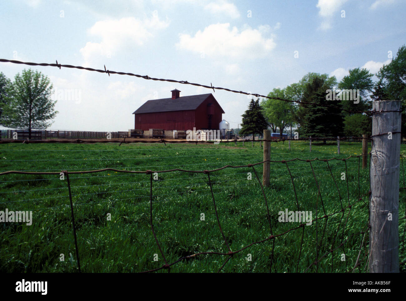 Barbed Wire Around Tree High Resolution Stock Photography and Images ...