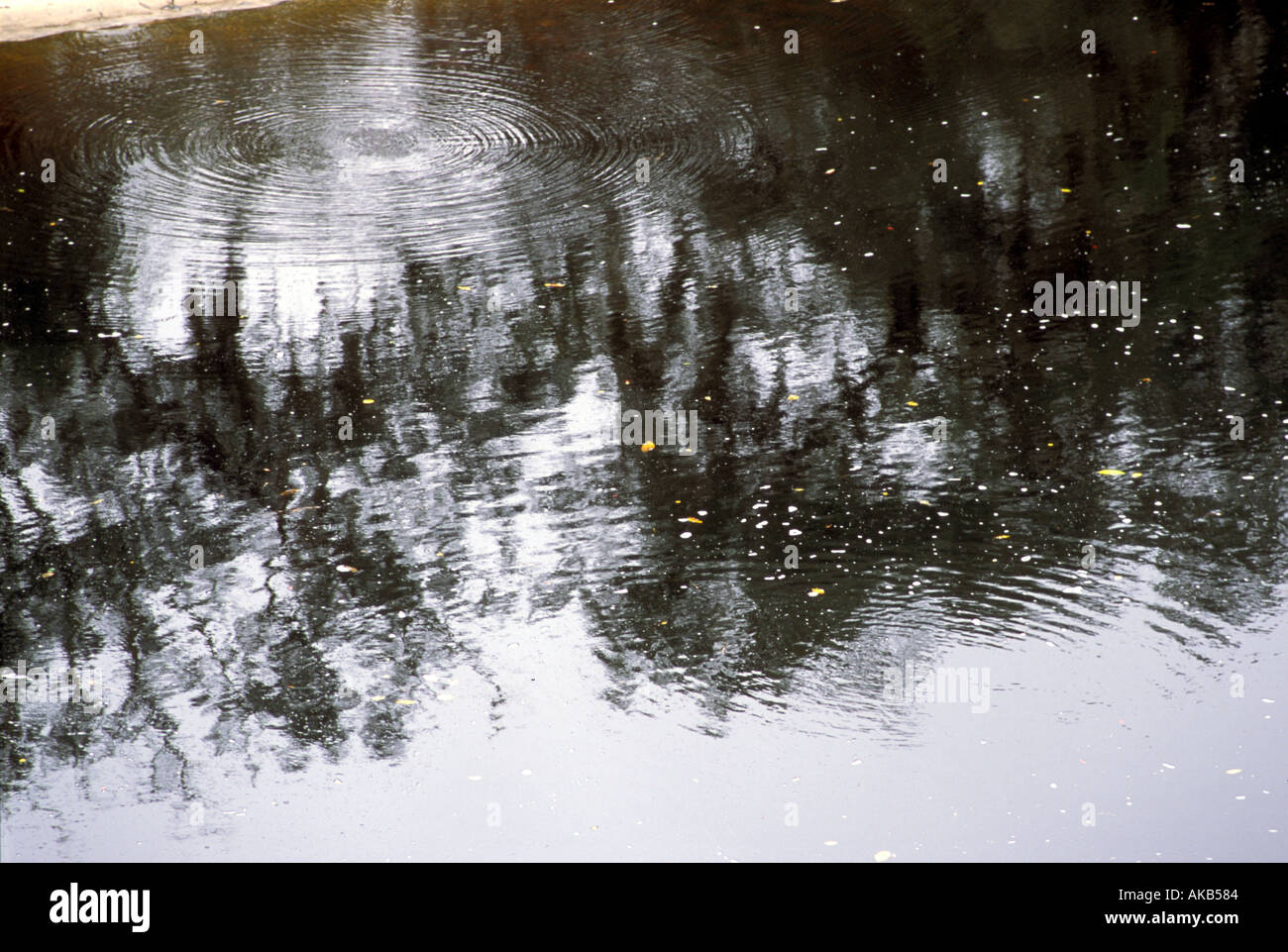 Appear grey hi-res stock photography and images - Alamy