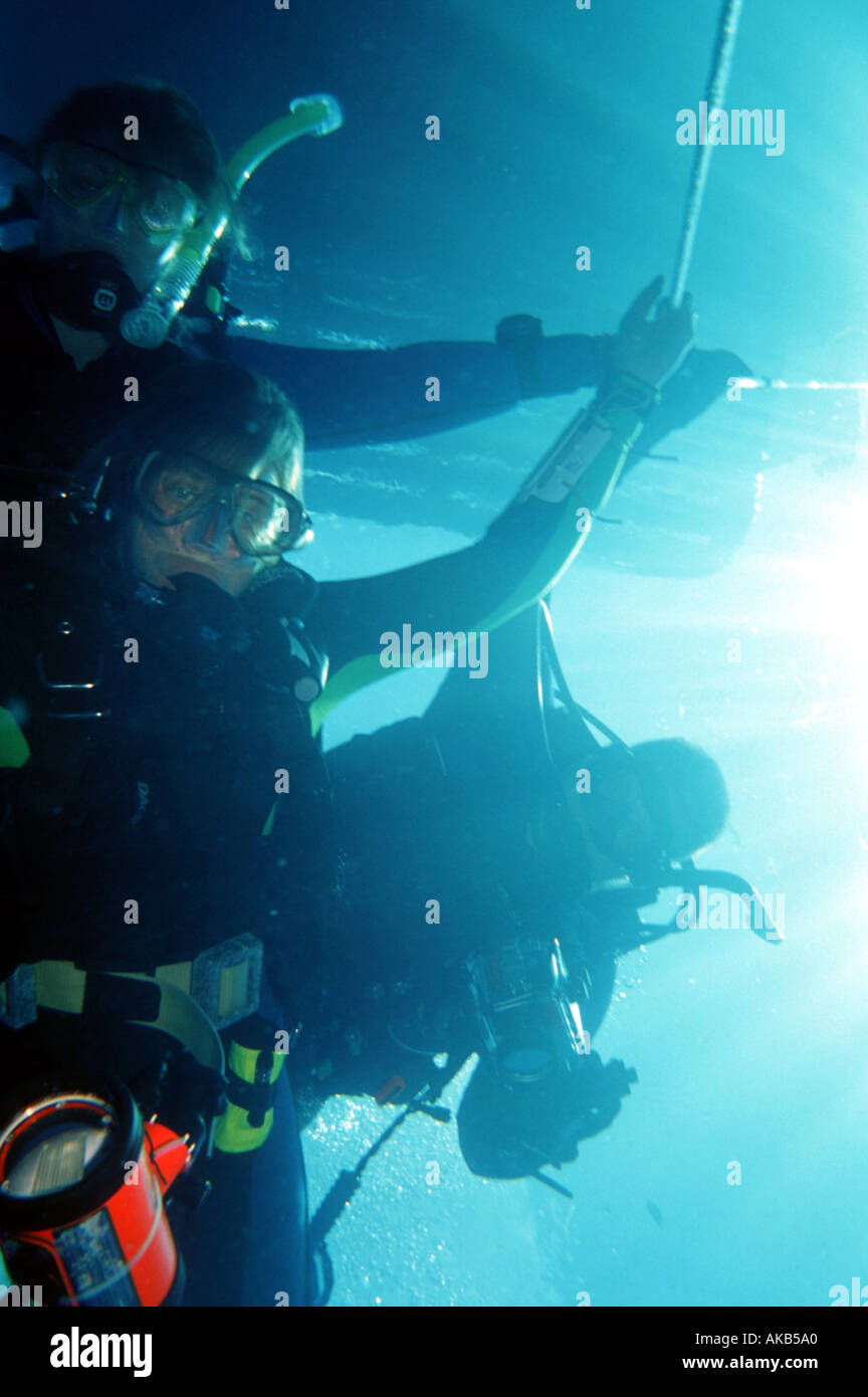 Dive bc weight hi-res stock photography and images - Alamy