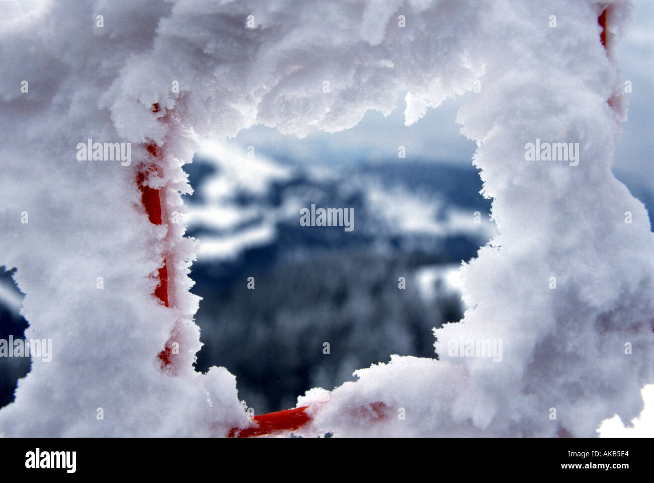 Ice and snow circled and clinging to a red rope fence creates a close ...
