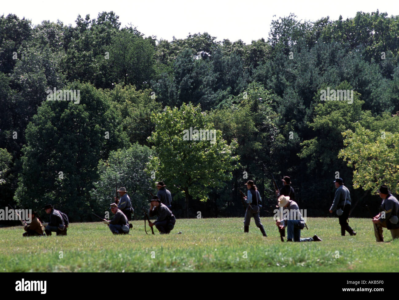 Army army war trees hi-res stock photography and images - Alamy