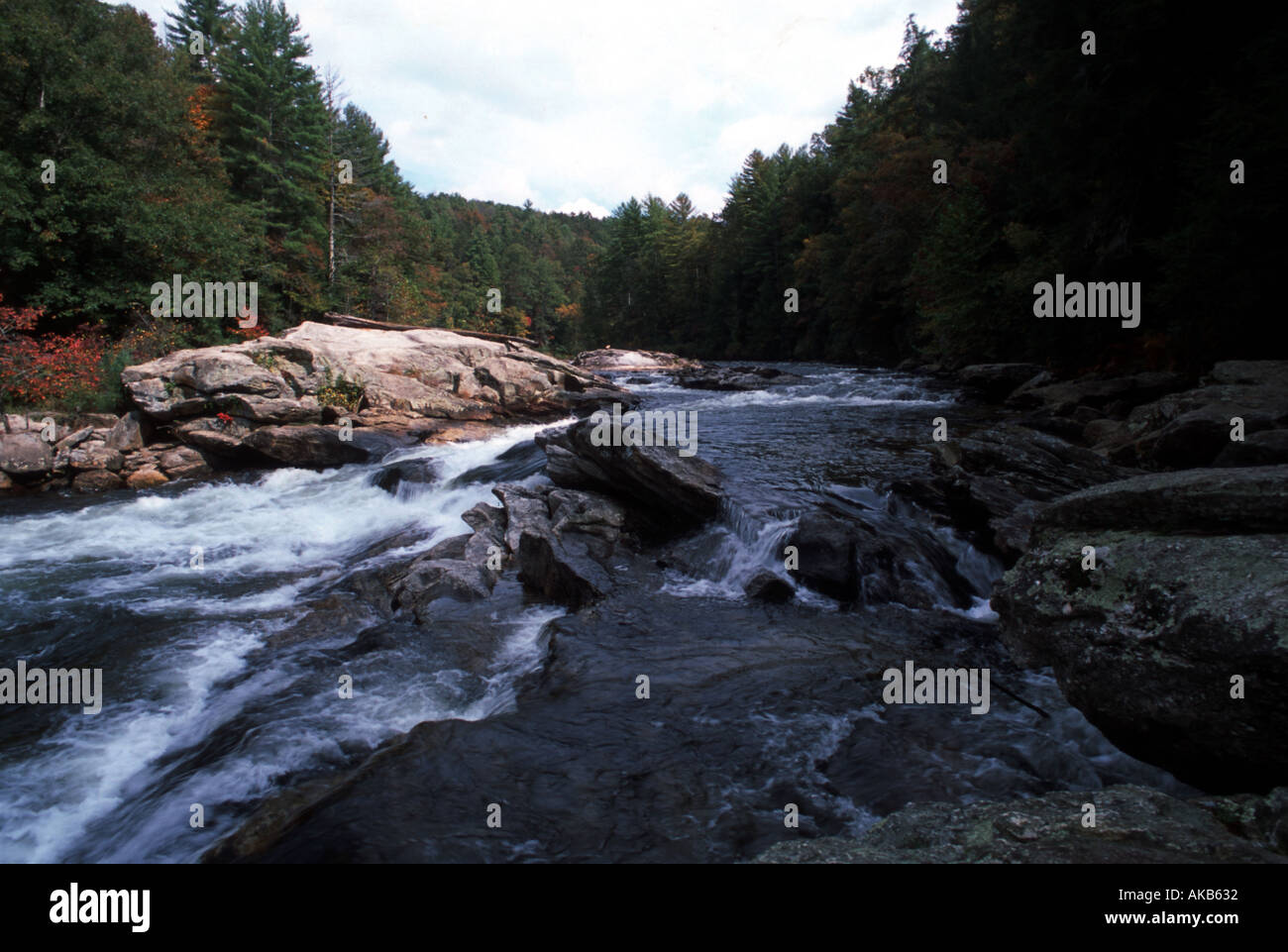 Massive granite rock juts out of a swelling stream surrounded by dense ...