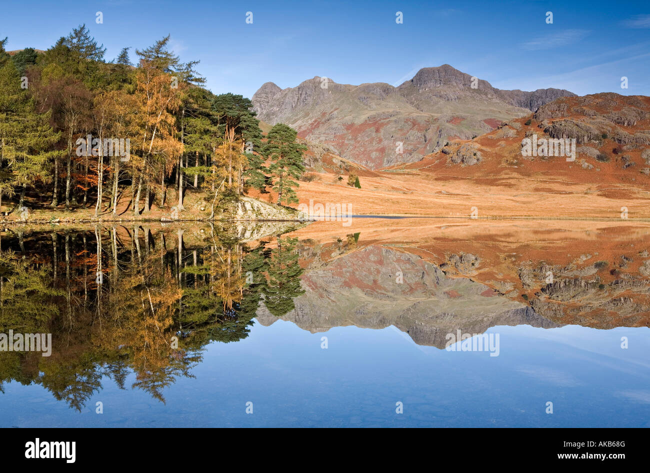 Blea Tarn, Lake District, Cumbria, England Stock Photo - Alamy