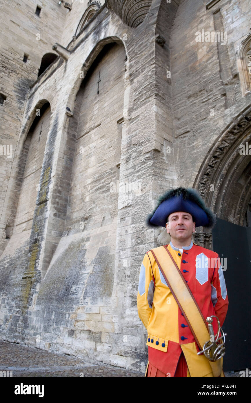 Swiss Guard, Palais des Papes, Avignon, Provence, France Stock Photo ...