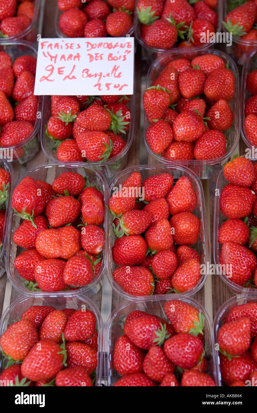European strawberries hi-res stock photography and images - Alamy