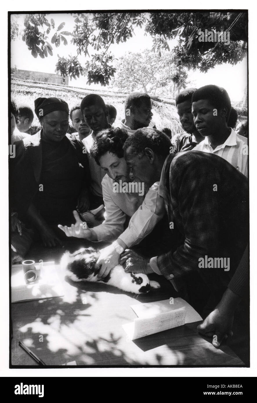 Afternoon lessons hi-res stock photography and images - Alamy