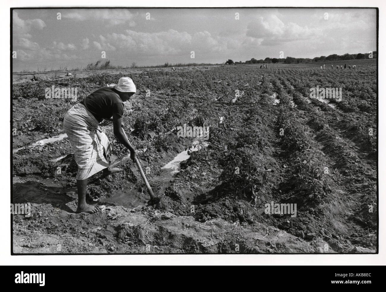 Magude mozambique hi-res stock photography and images - Alamy