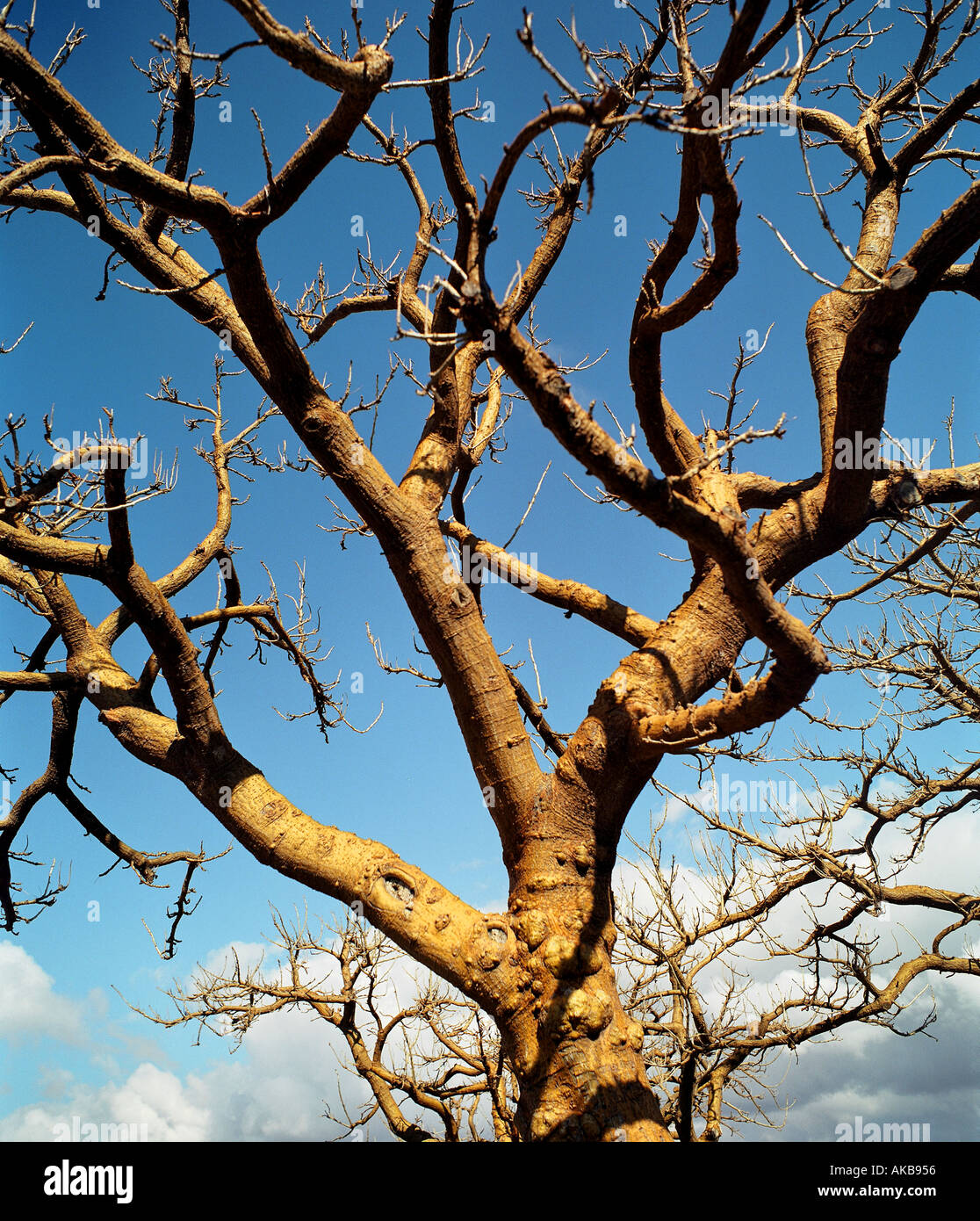 Old san j hi-res stock photography and images - Alamy