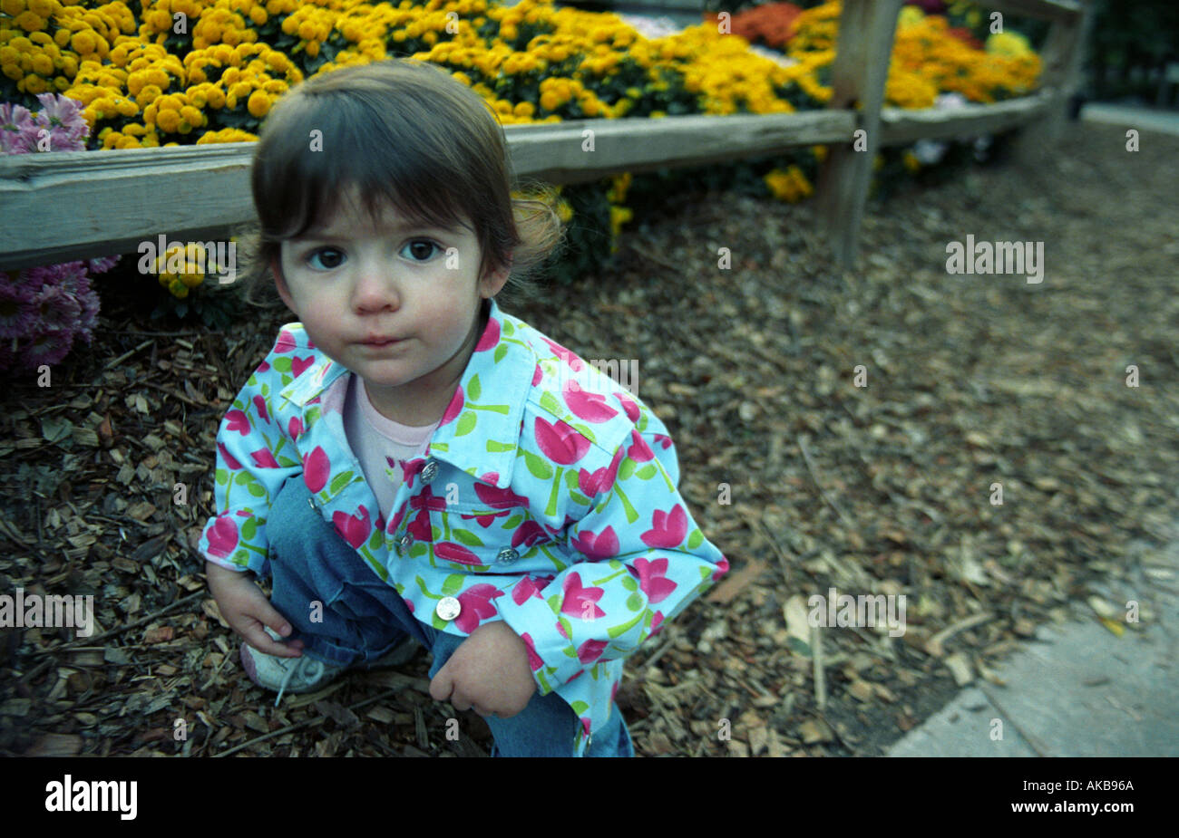 Child squatting looking at you with yellow flowers behind her Stock ...