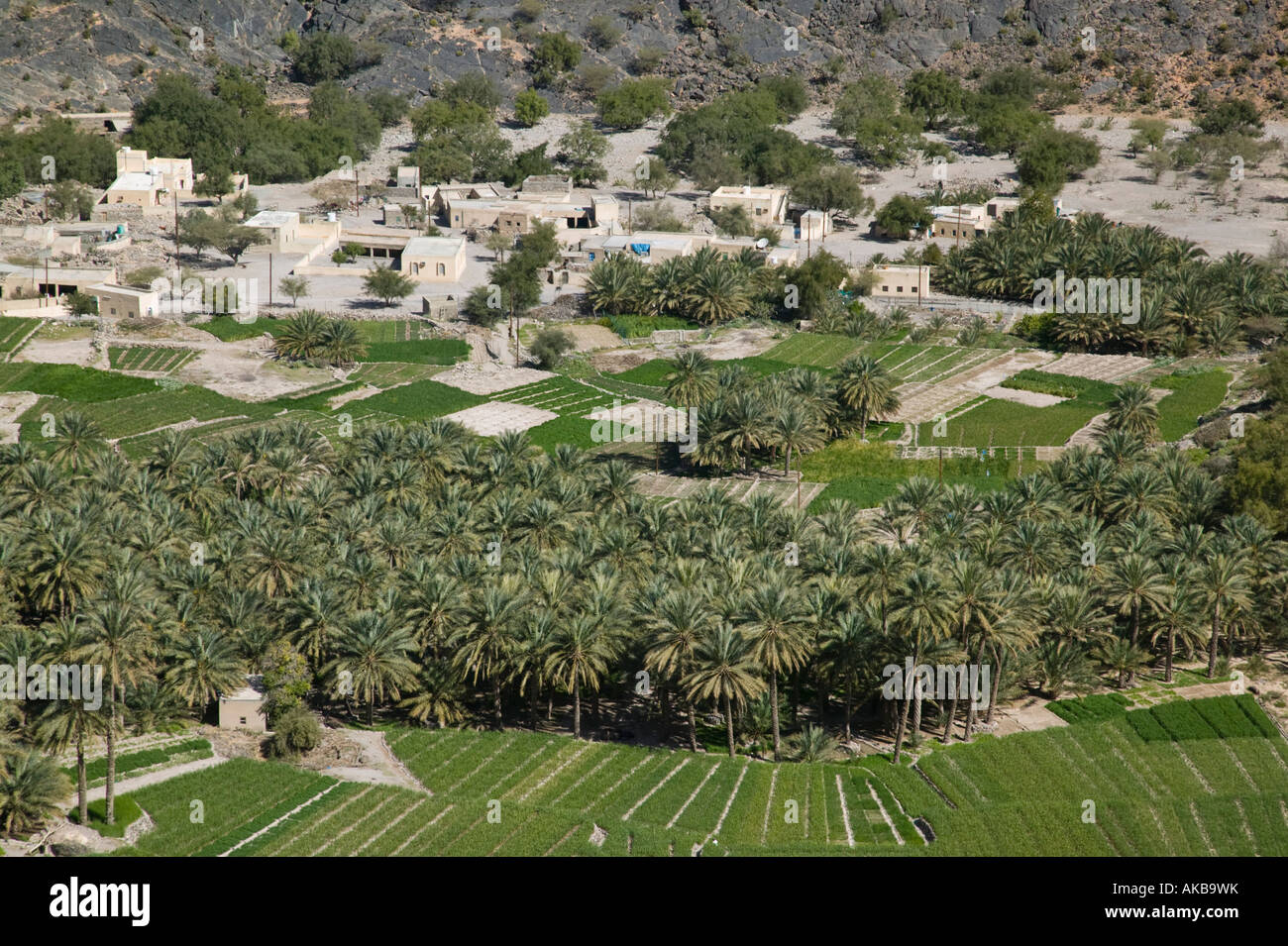 Oman, Western Hajar Mountains, Village of Hat and Date Palm Oasis Stock ...