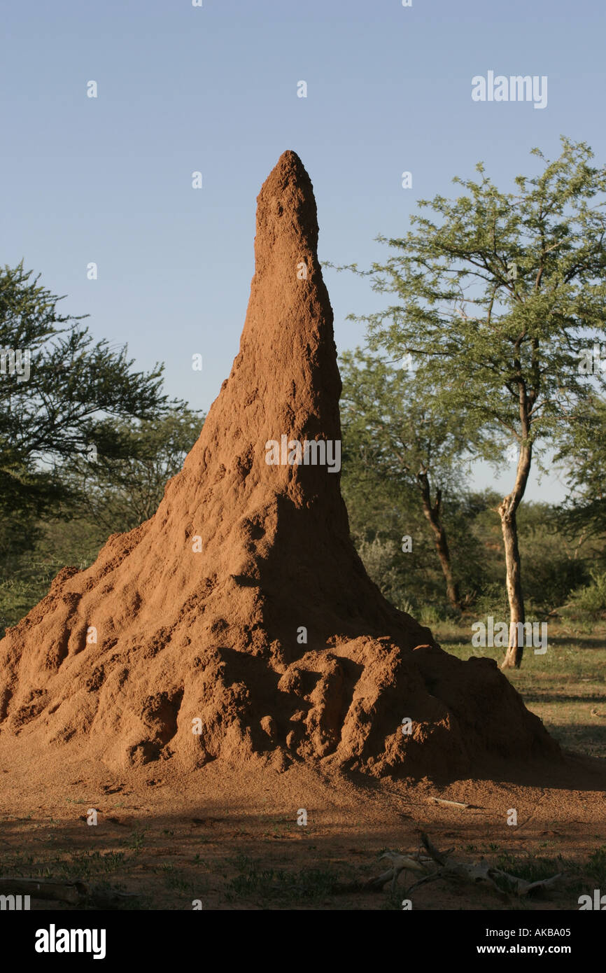 Namibia Termite mound Stock Photo - Alamy