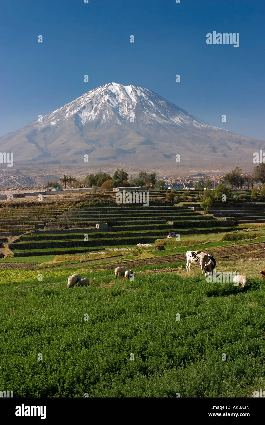 El Misti Volcano and Arequipa town, Peru Stock Photo - Alamy
