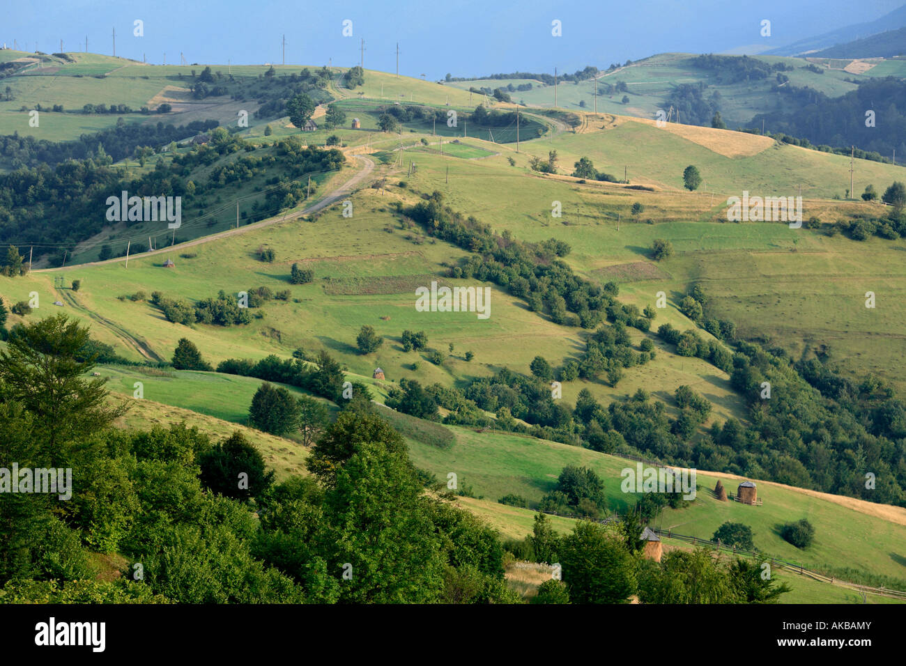 Carpathians, Zakarpattia Oblast, Transcarpathia, Ukraine Stock Photo ...
