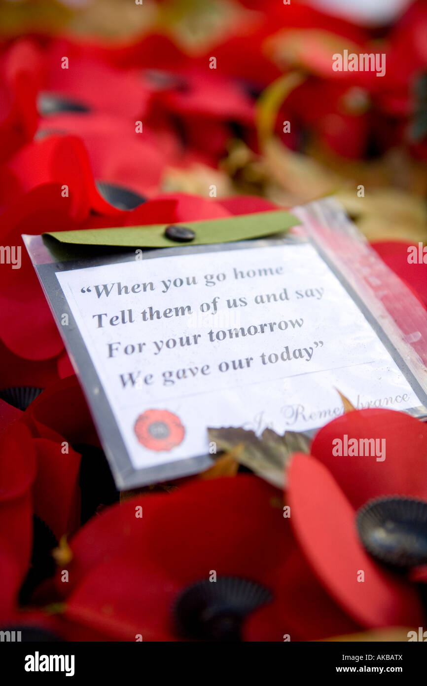 Poppies of Remembrance Stock Photo - Alamy