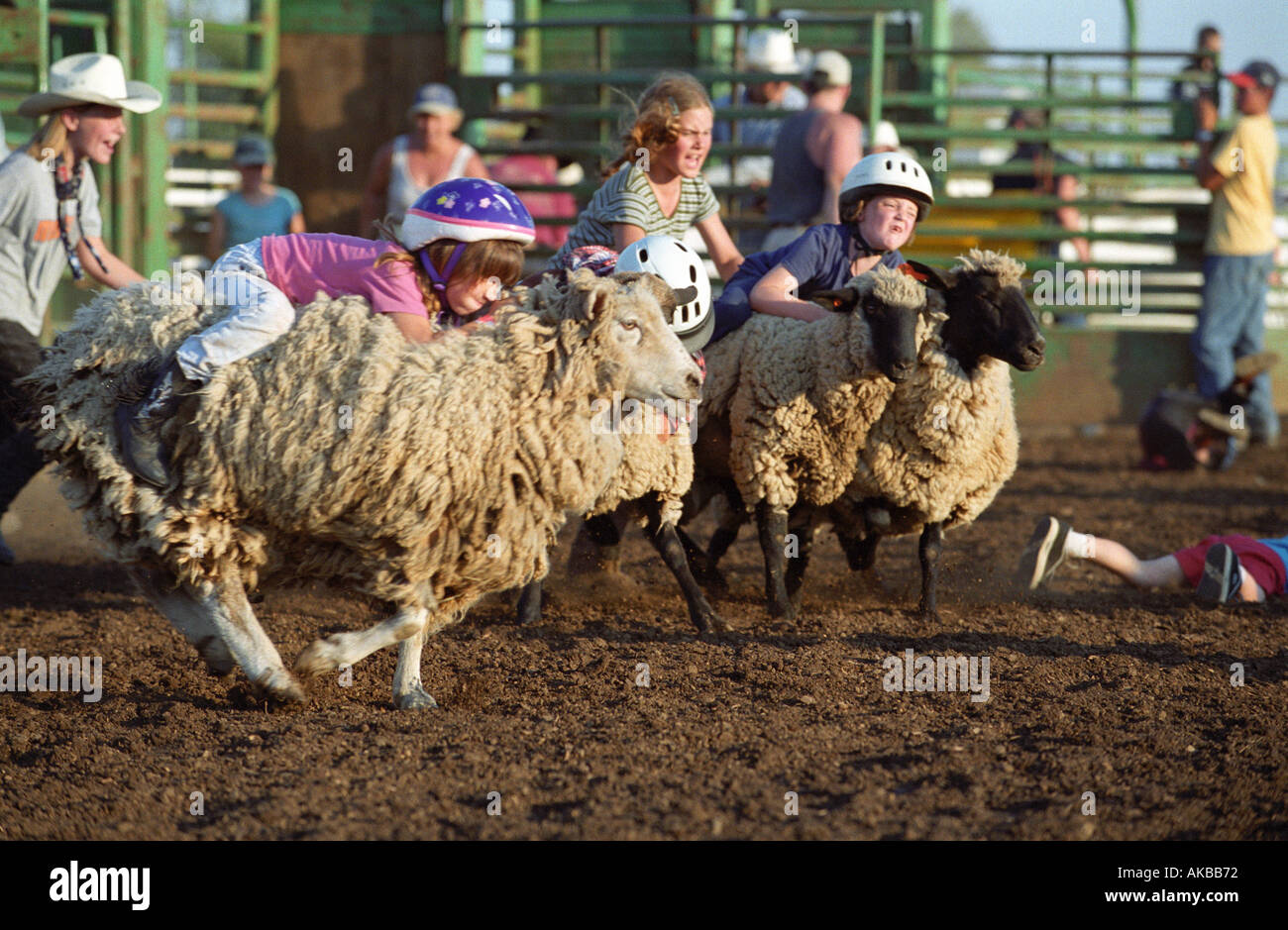 Kids riding sheep hi-res stock photography and images - Alamy