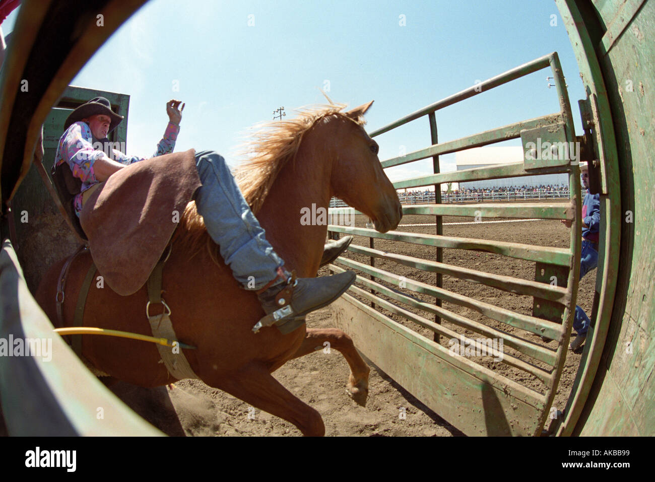 Rider falling off horse hi-res stock photography and images - Alamy