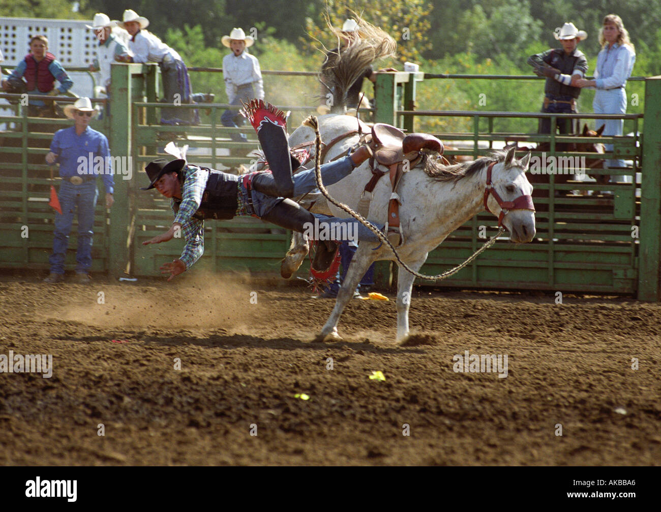 Rider falling off horse hi-res stock photography and images - Alamy