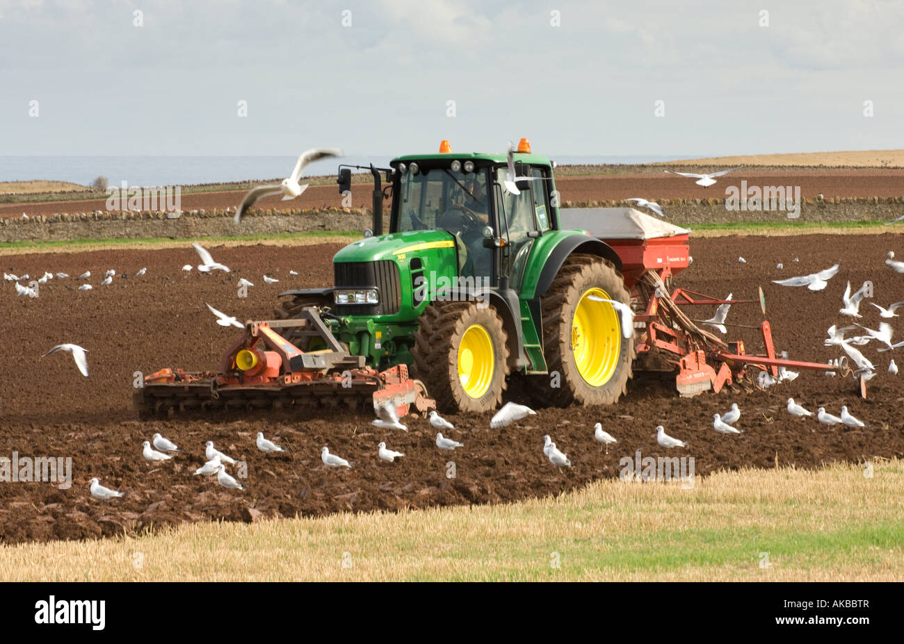 Tractor seeding a freshly ploughed field, East Lothian, Scotland, UK ...