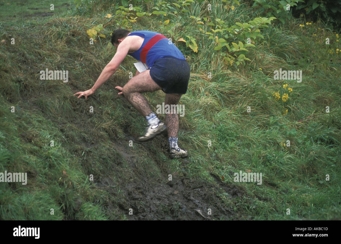 Cross Country Runner Stock Photo - Alamy