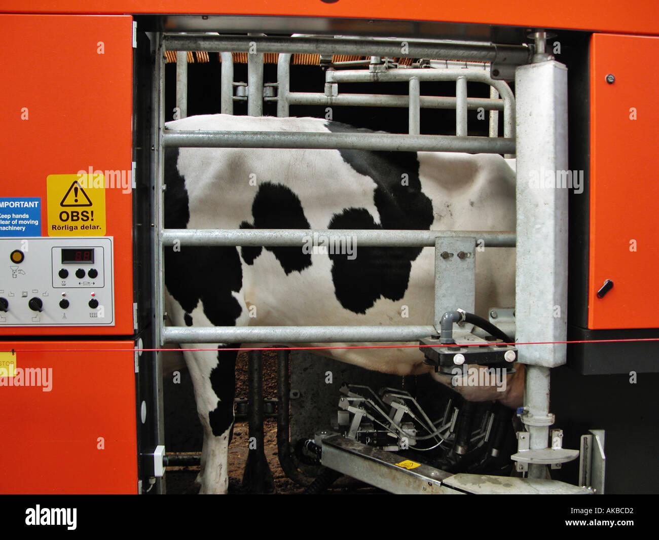 Robot milking machine hi-res stock photography and images - Alamy