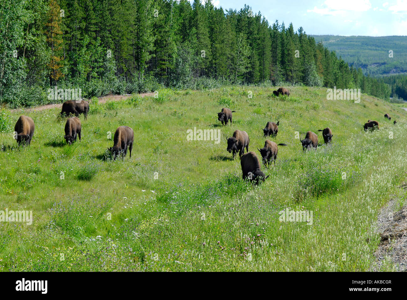 Al can highway hi-res stock photography and images - Alamy