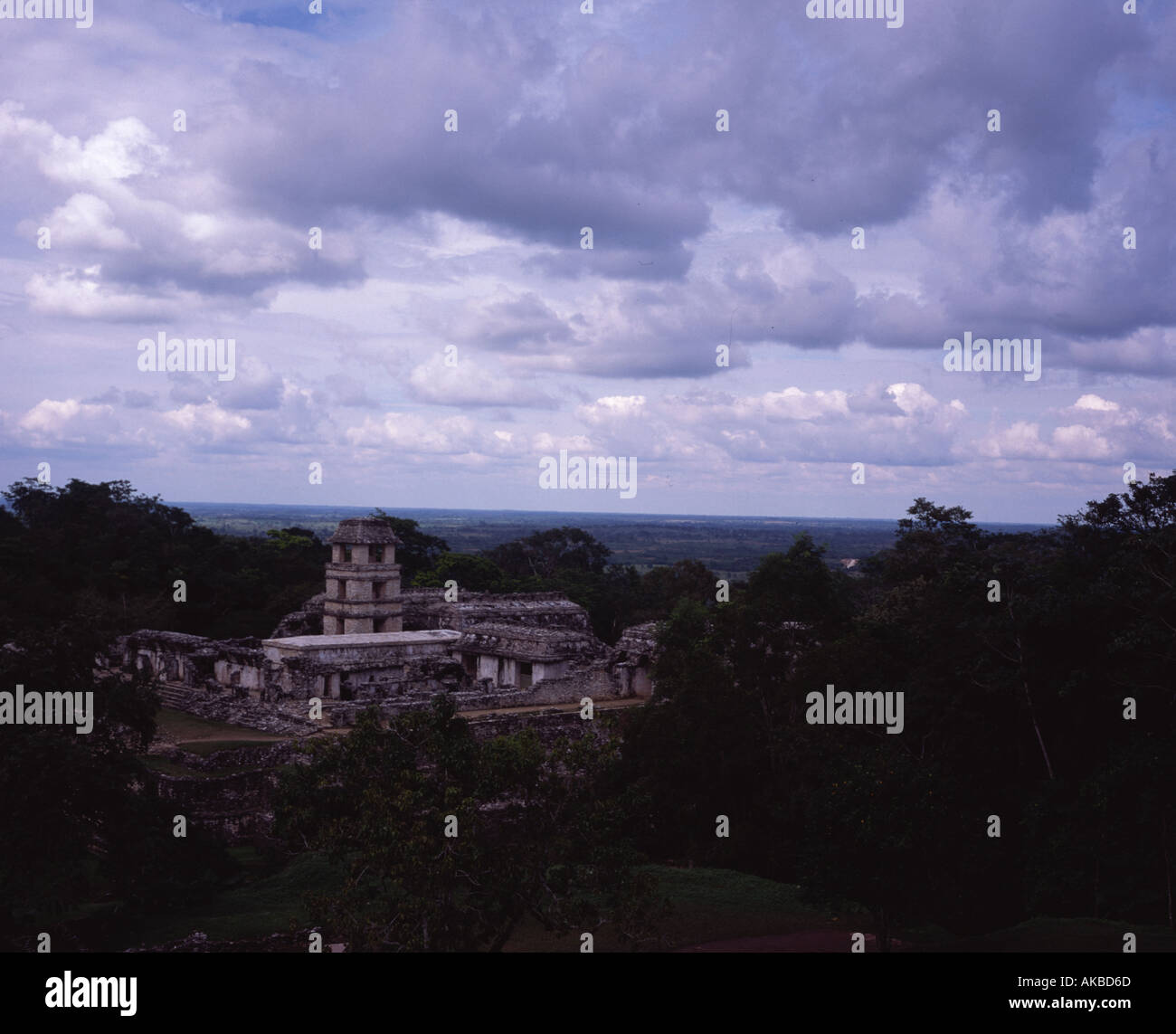 Palenque - Mayan ruins in the rain forest Chiapas Mexico Stock Photo ...