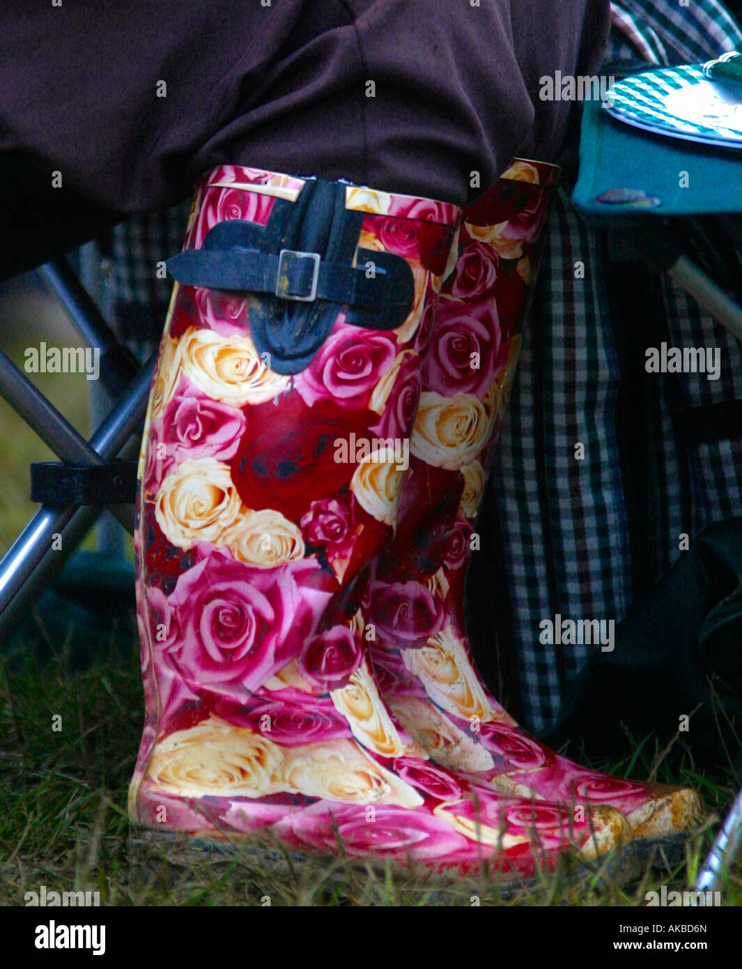 Wellies in the crowd at the Jools Holland at Belvoir castle Carte D Or ...