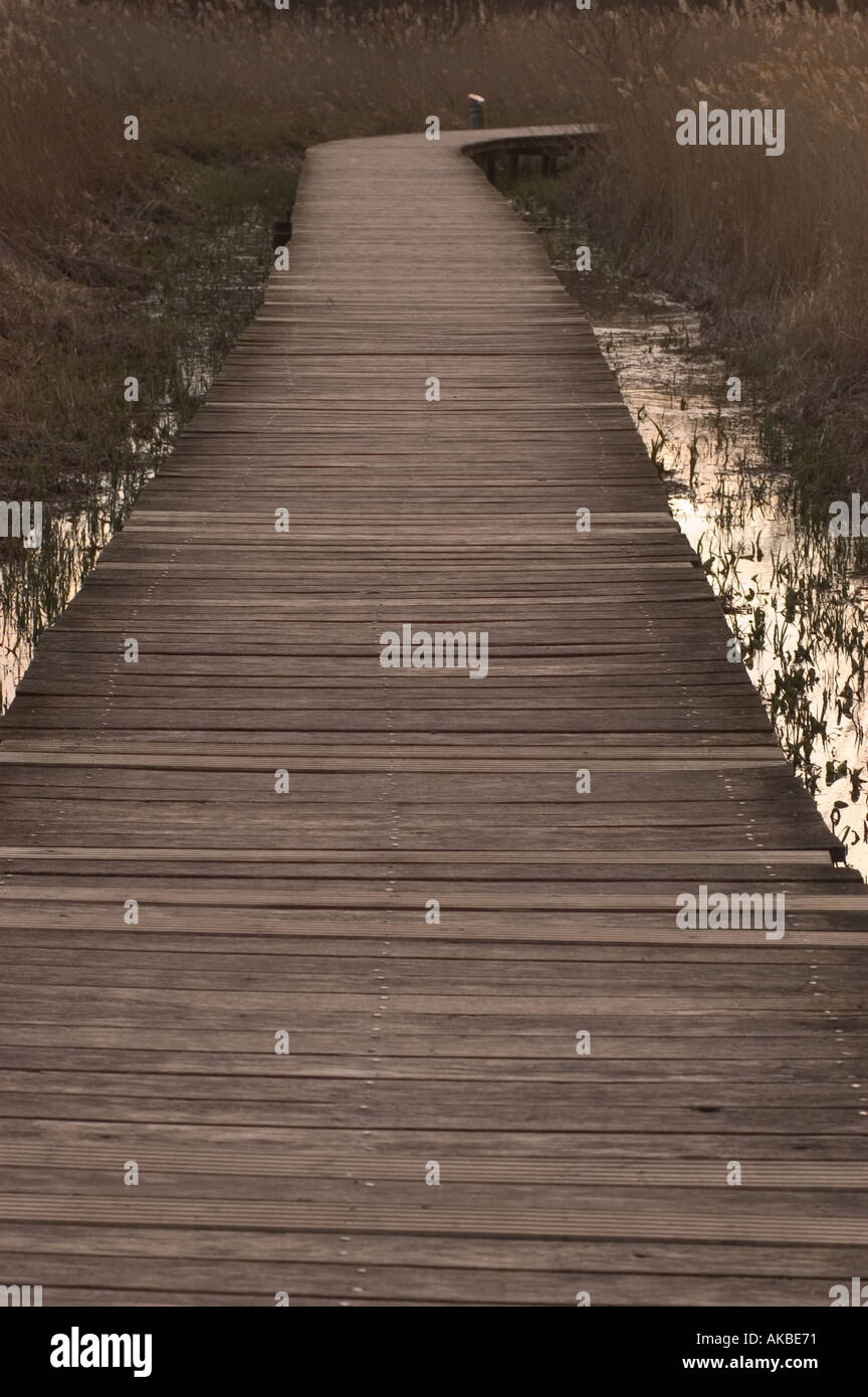 Wooden walkway above marsh hi-res stock photography and images - Alamy