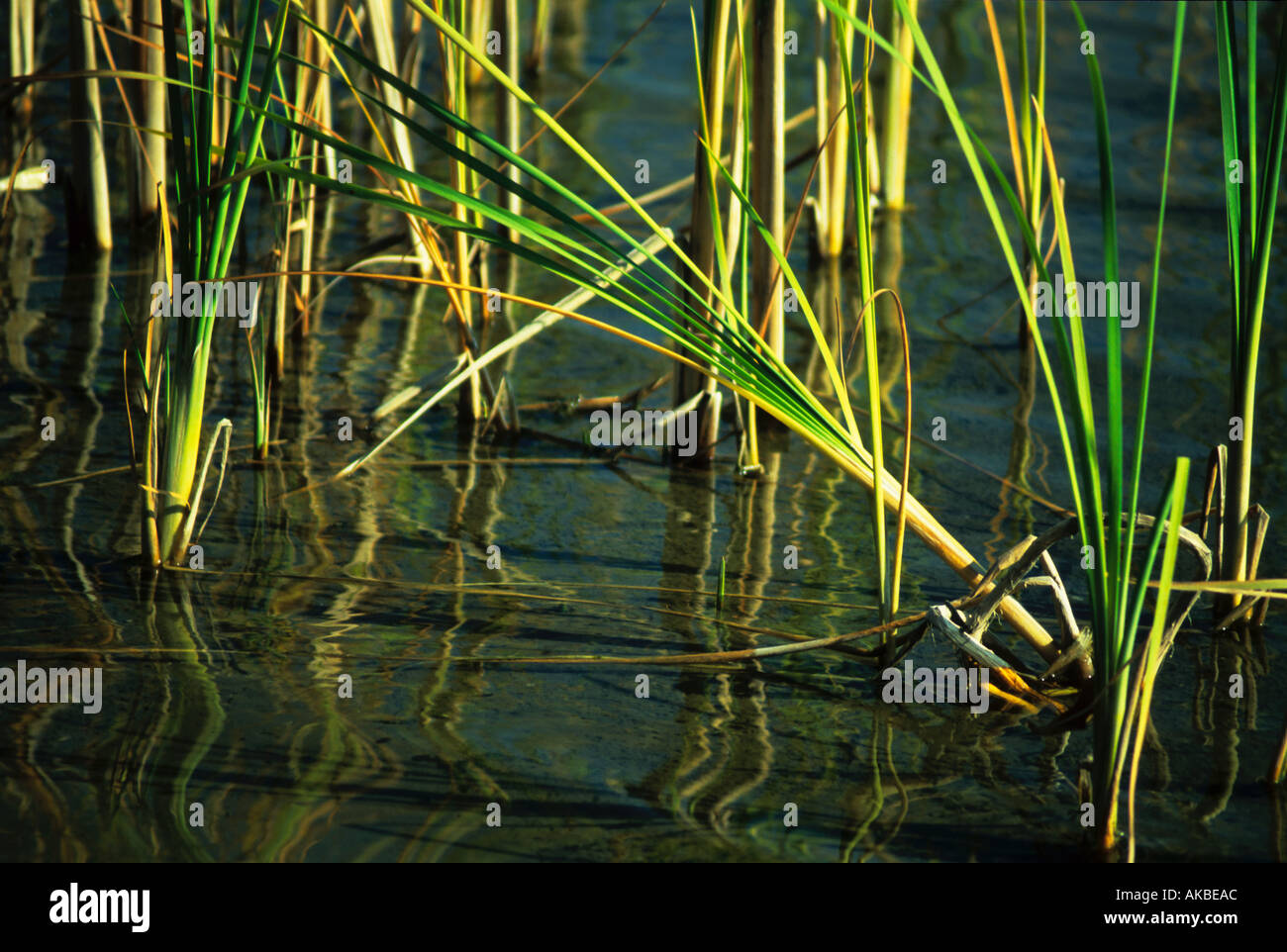 Oka canada hi-res stock photography and images - Alamy