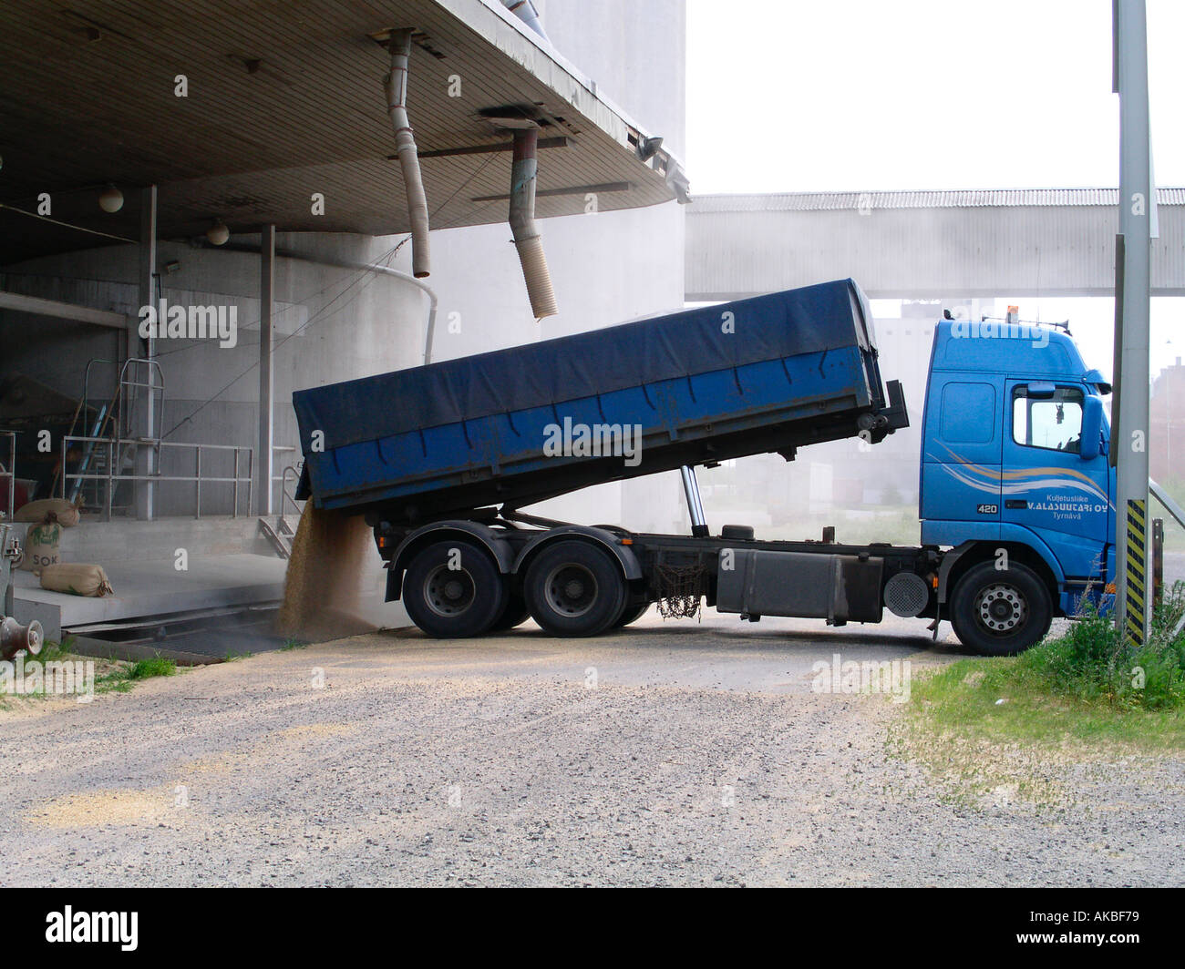 truck unloading grain Stock Photo - Alamy