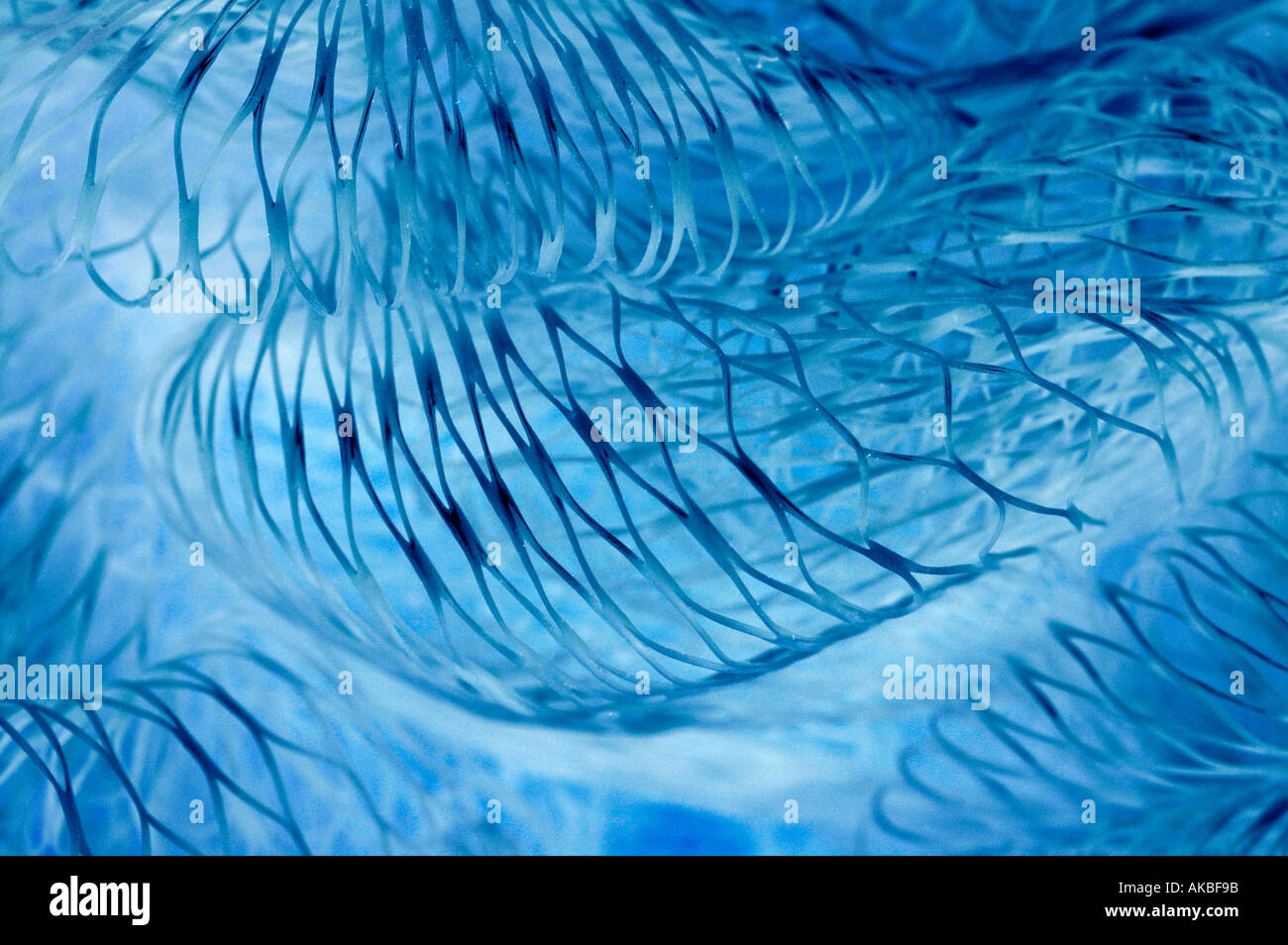 wire, form, symbol Stock Photo - Alamy