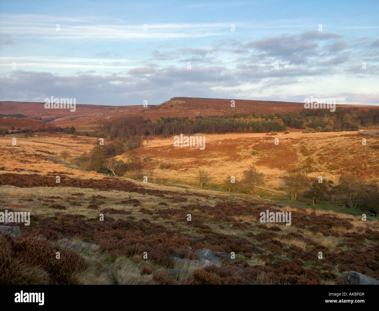 Autumn Moorland Heather Derbyshire Peak District National park in ...