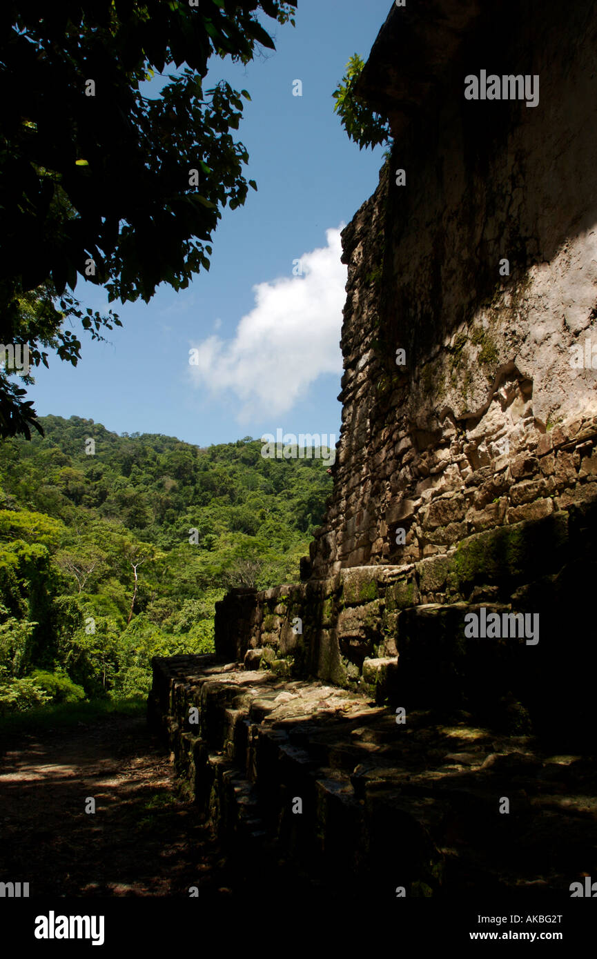 Mayan ruins and the surrounding rainforest at the Palenque Ruins in ...