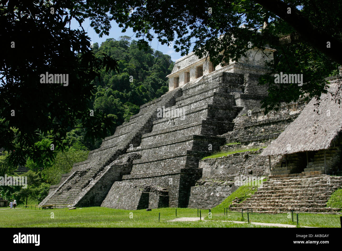 Mayan ruins and the surrounding rainforest at the Palenque Ruins in ...