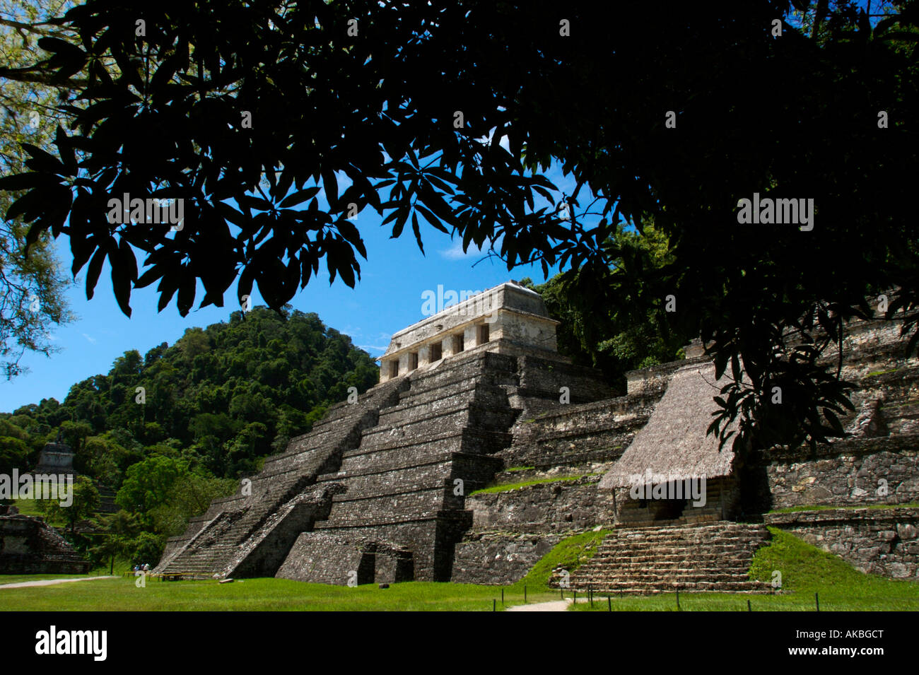 Mayan ruins and the surrounding rainforest at the Palenque Ruins in ...