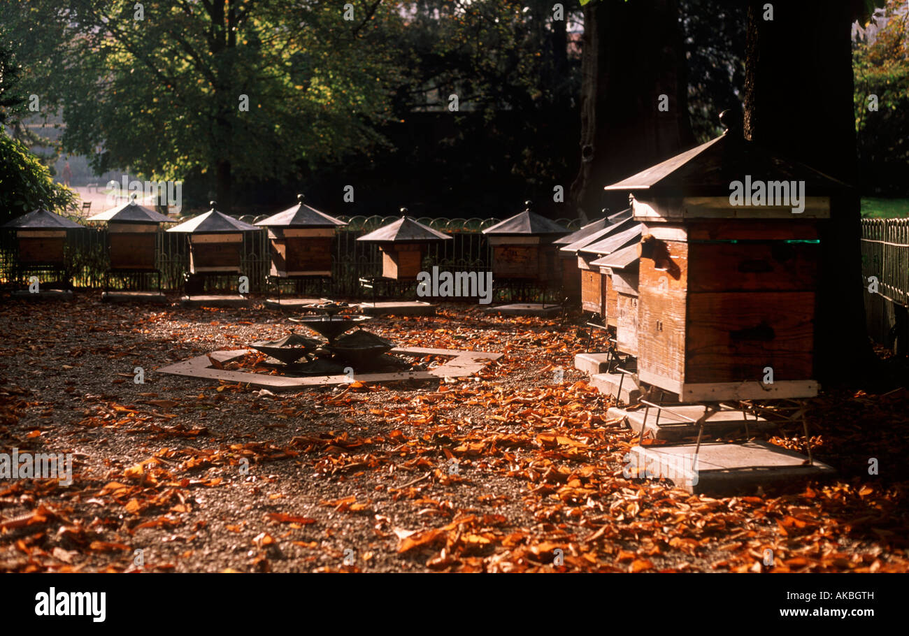 Beehive display at the bee keeping school Jardin du Luxembourg Paris ...