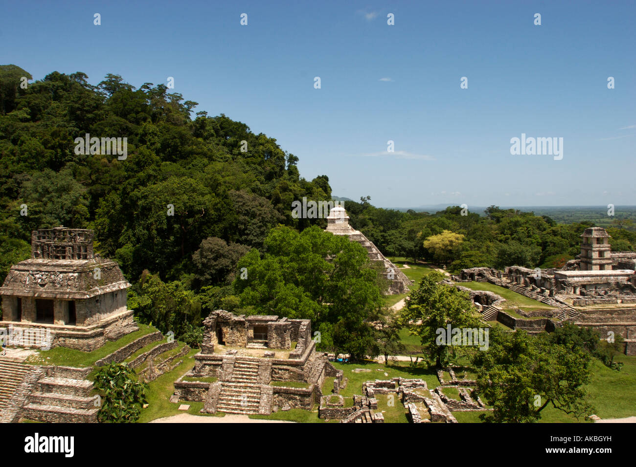 Mayan ruins and the surrounding rainforest at the Palenque Ruins in ...
