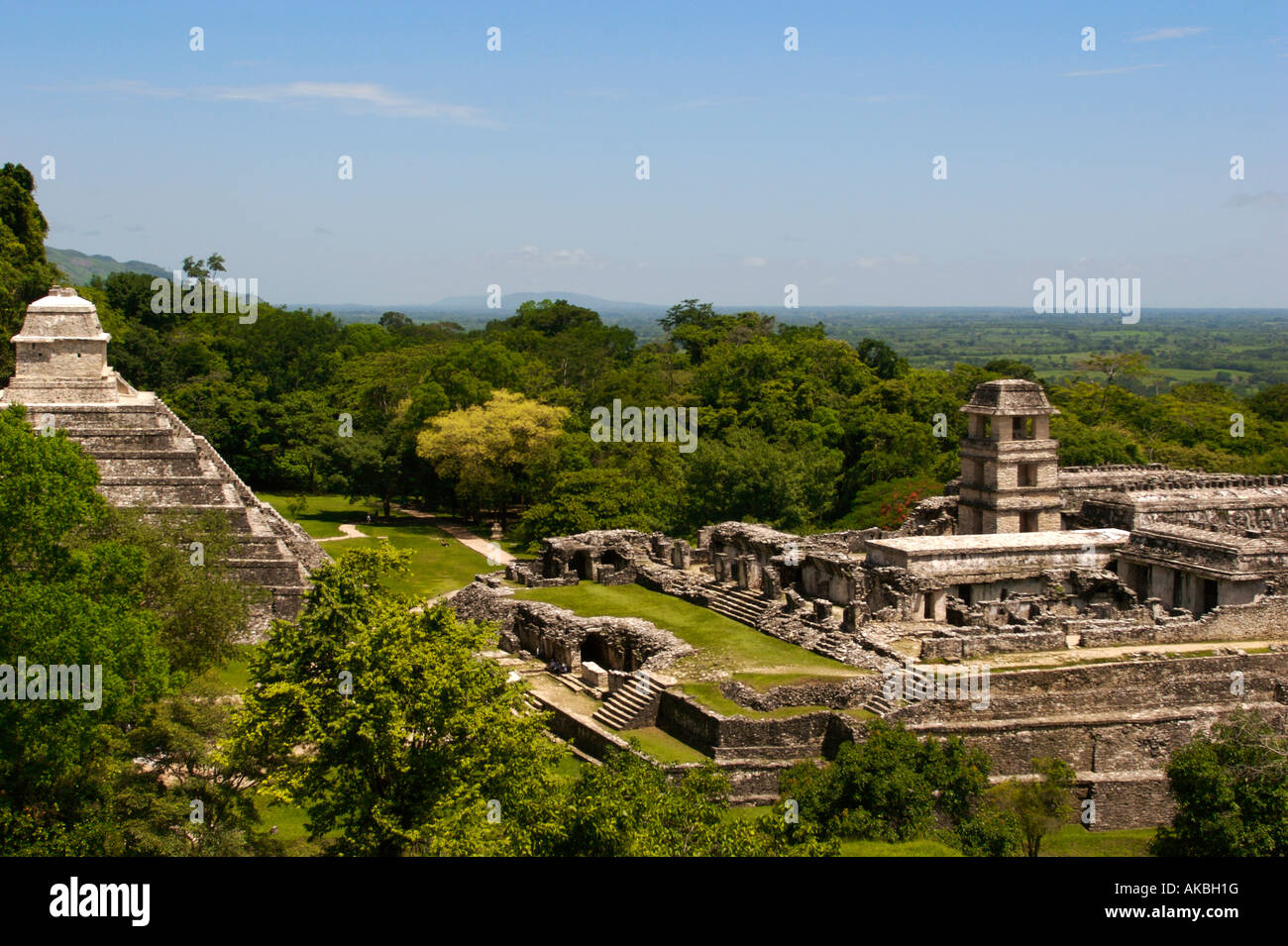 Mayan ruins and the surrounding rainforest at the Palenque Ruins in ...
